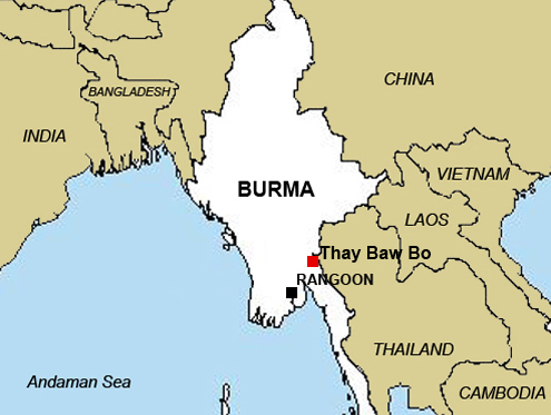 thay baw bo map - DVB