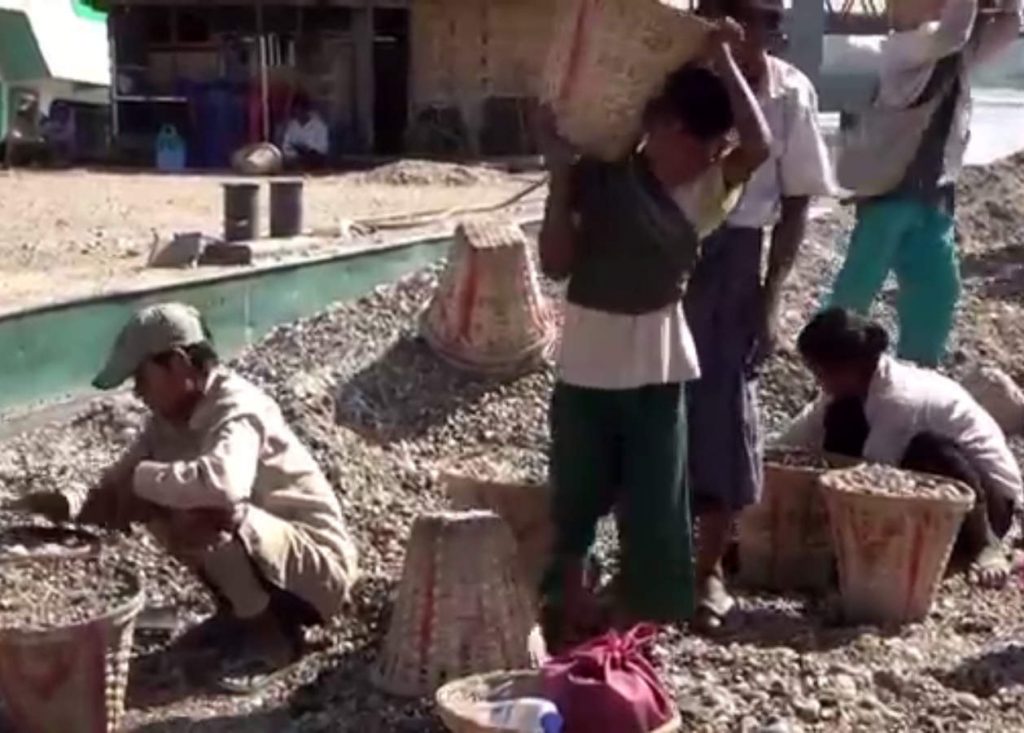 Survey finds child labour in supply chains- DVB