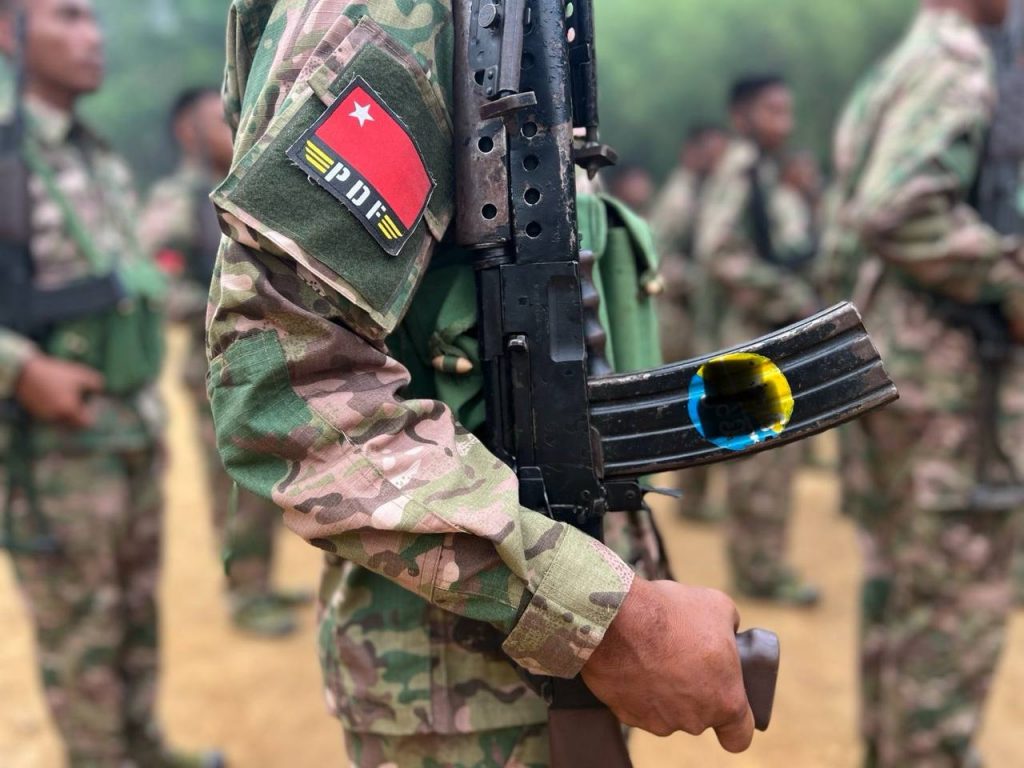 A brief history of the People's Defense Force (PDF) - DVB